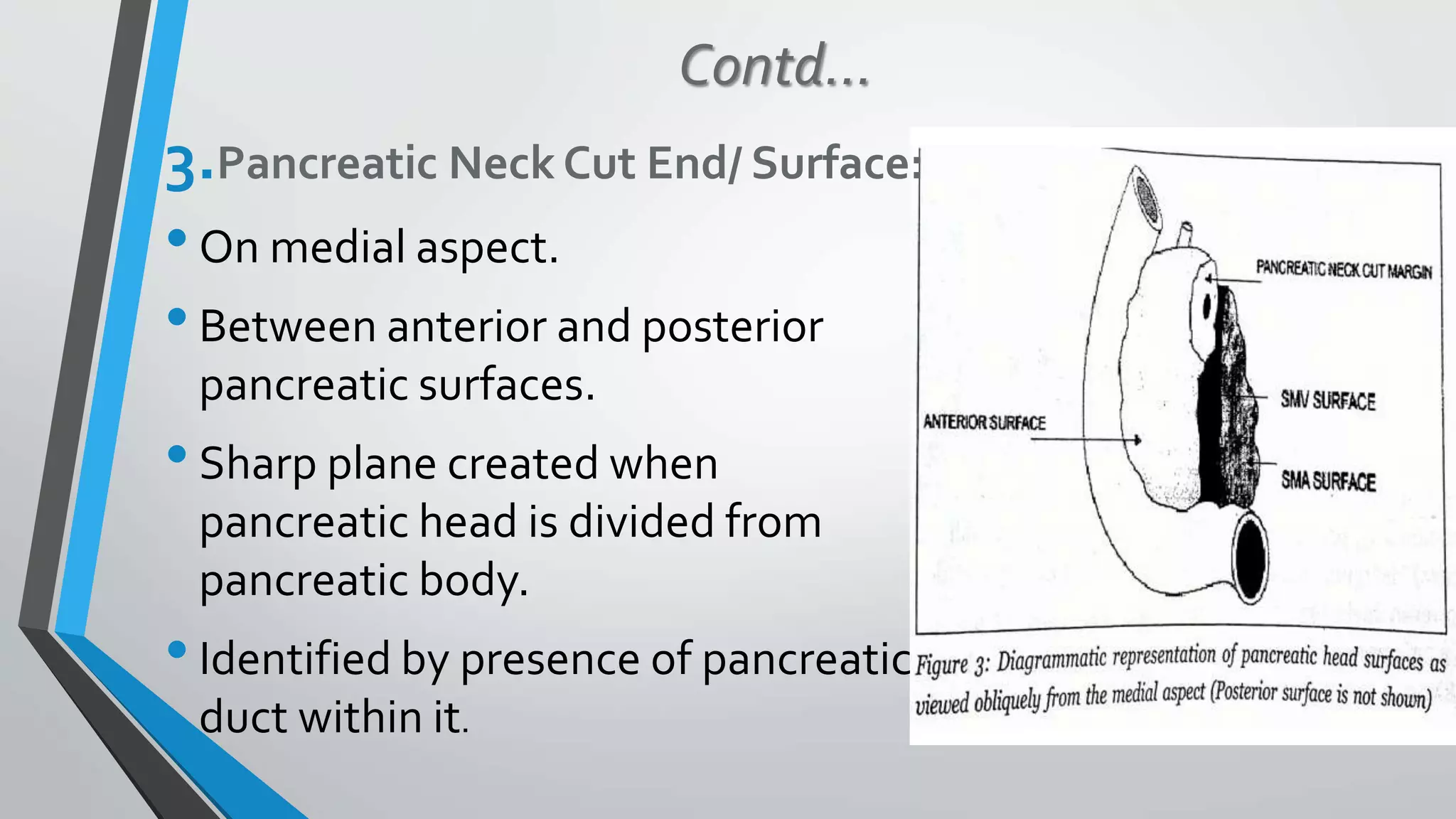 Whipple's specimen grossing | PPTX