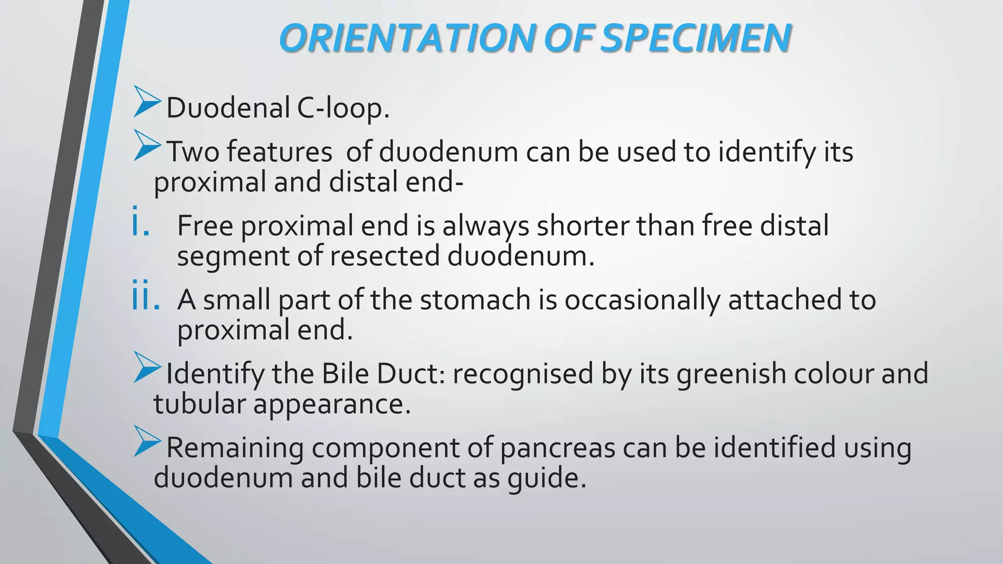 Whipple's specimen grossing | PPTX