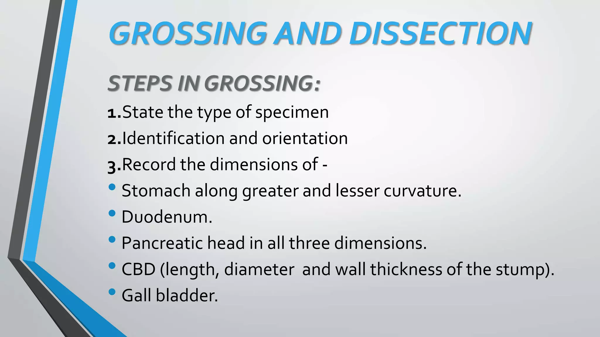 Whipple's specimen grossing | PPTX