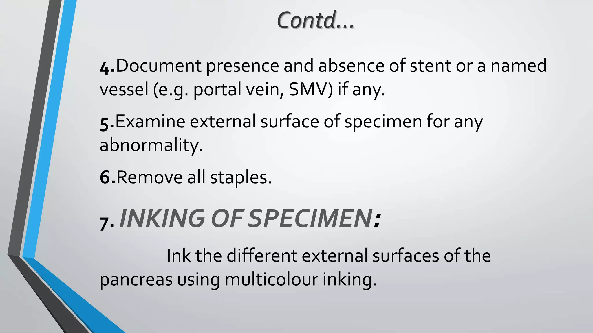 Whipple's specimen grossing | PPTX
