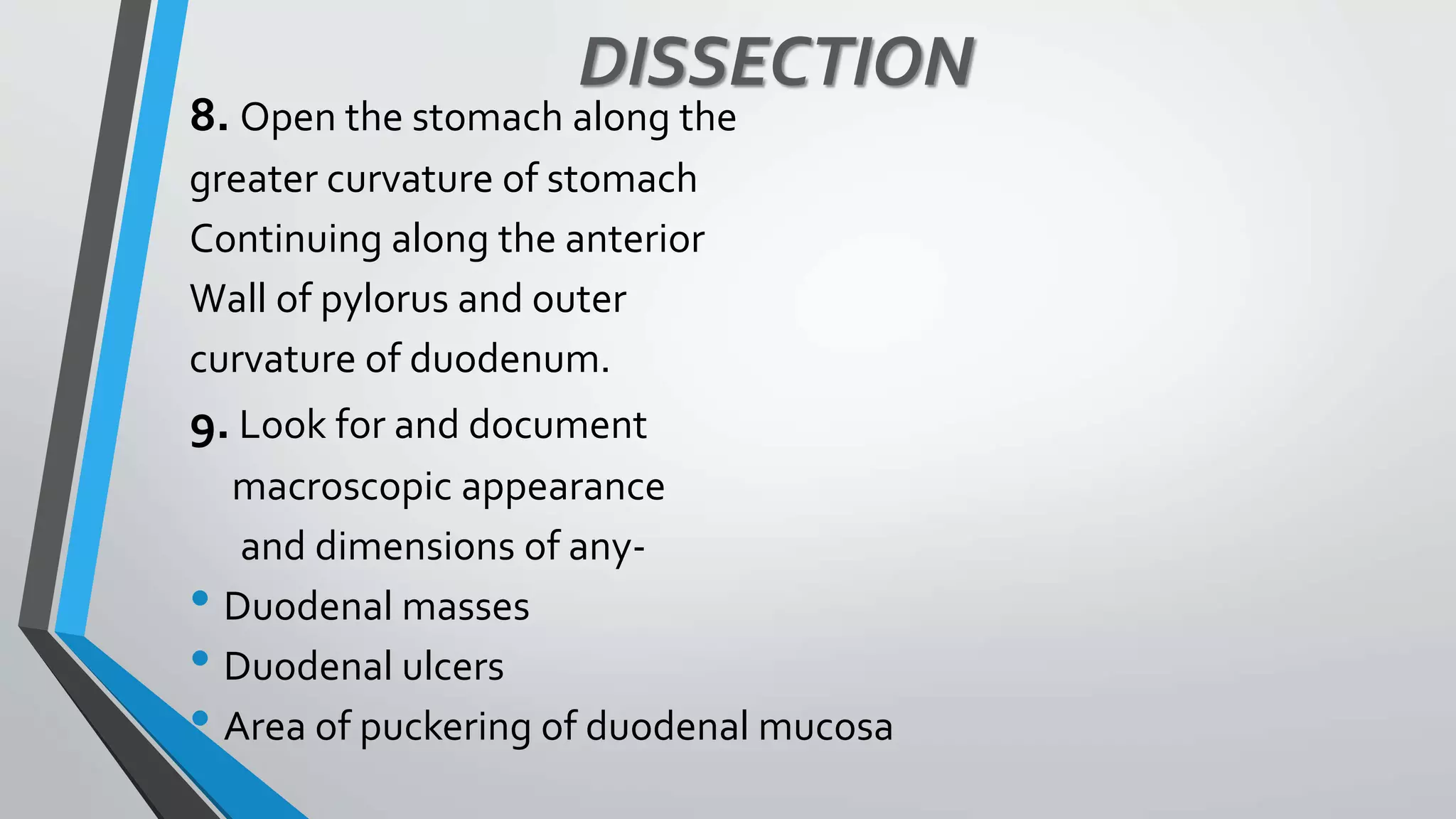 Whipple's specimen grossing | PPTX