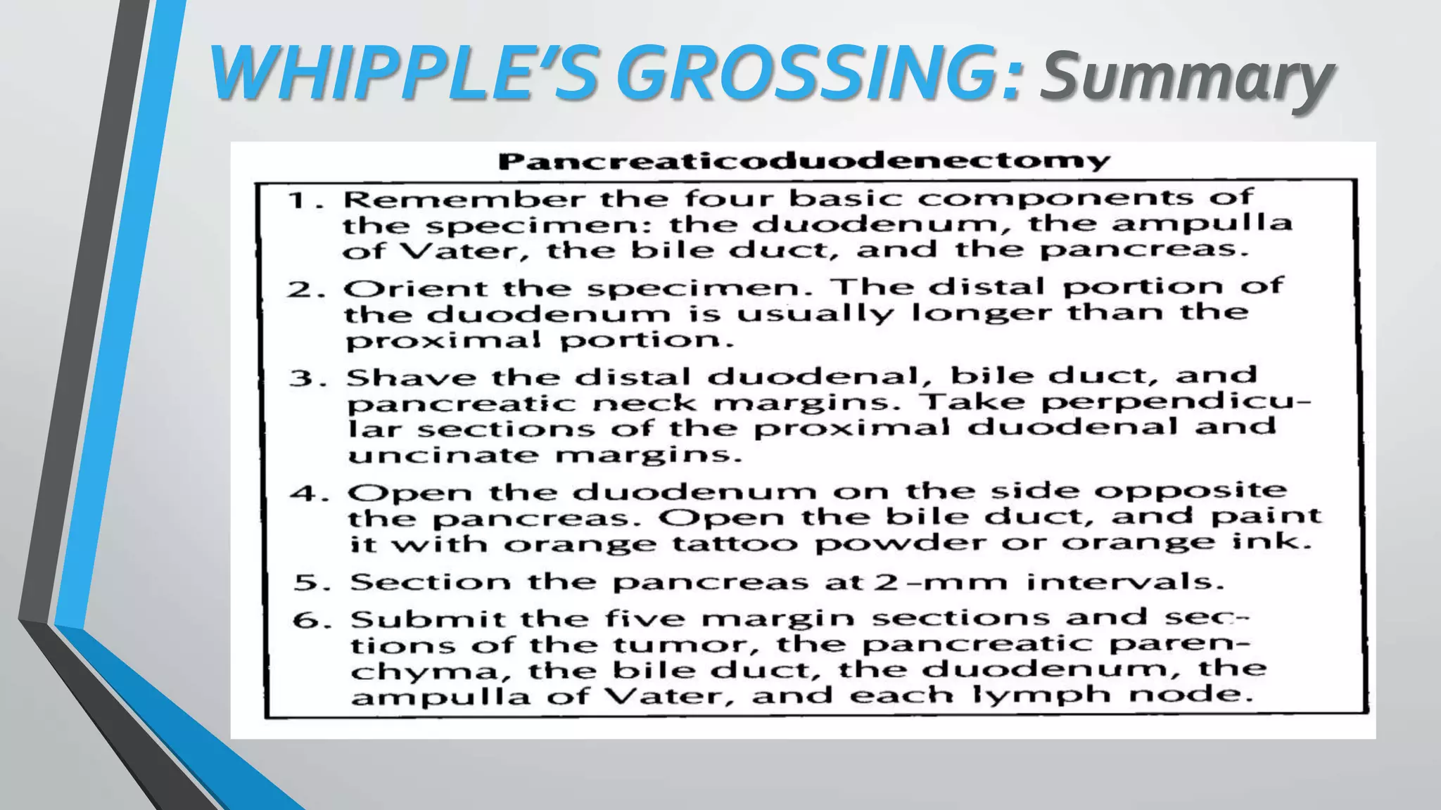 Whipple's specimen grossing | PPTX