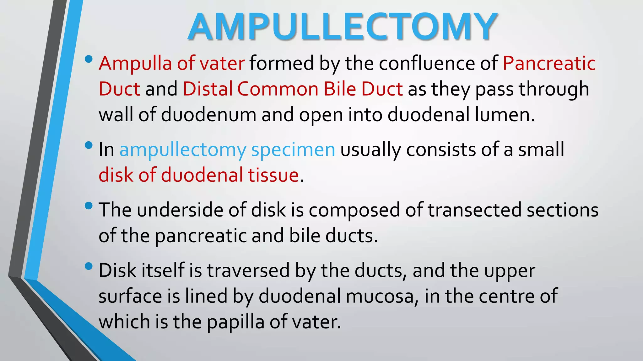 Whipple's specimen grossing | PPTX