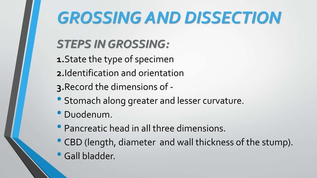 Whipple's specimen grossing | PPTX