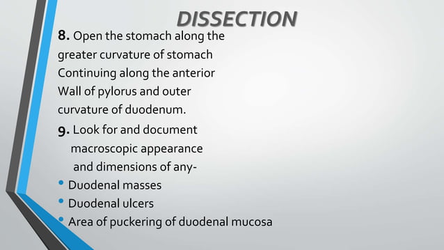 Whipple's specimen grossing | PPTX