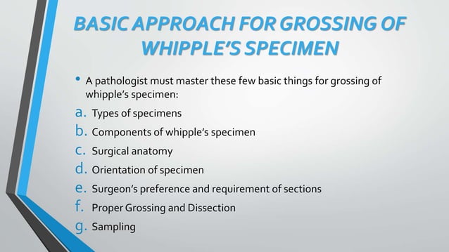 Whipple's specimen grossing | PPTX