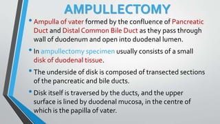 Whipple's specimen grossing | PPTX