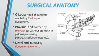 Whipple's specimen grossing | PPT