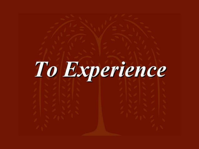 Reflexology and Holistic treatment at Whispering Willows | PPTX