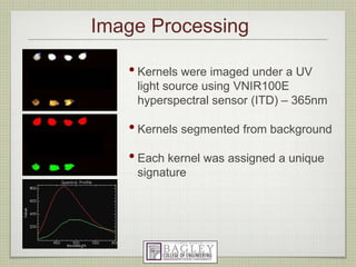 Support Vector Machines Classification of Fluorescence Hyperspectral Image for Detection of ...