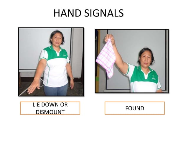 WHISTLE-AND-HAND-SIGNAL.pptx