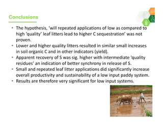 Sequestering soil carbon in the low input farming systems of the semi ...