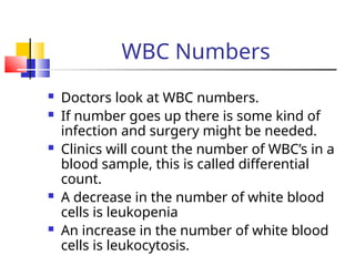 Notes on the White-Blood-Corpuscles.pptx