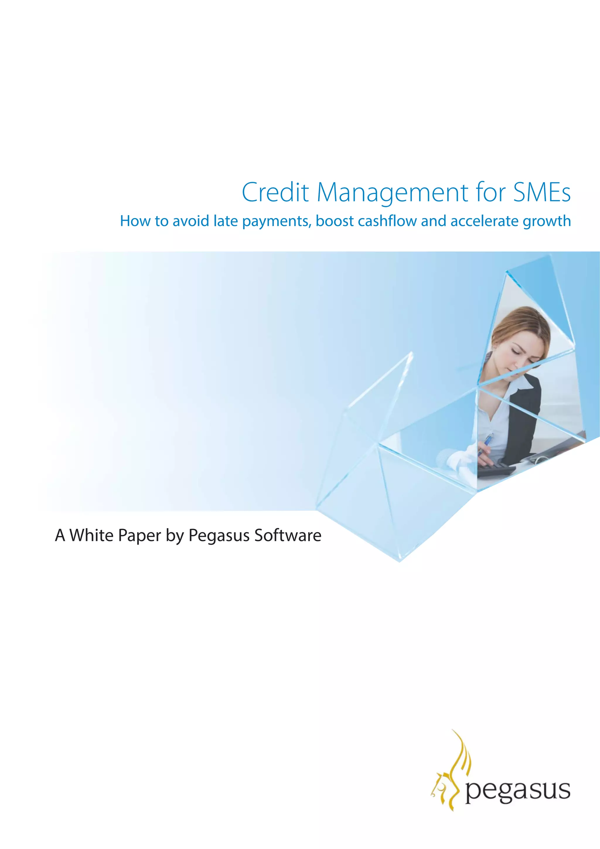 Pegasus Software White paper-credit-management | PDF
