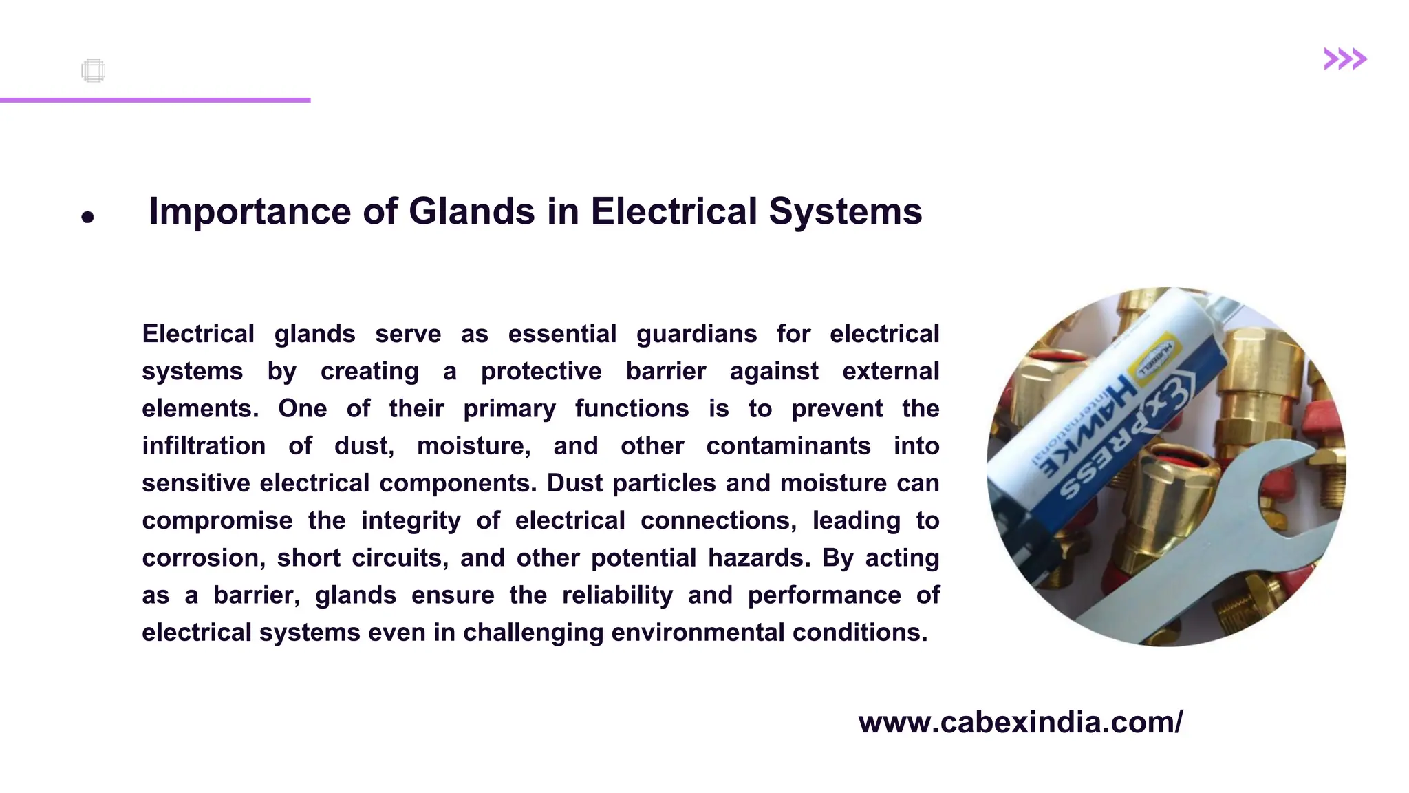 What is the Glands Electrical? | DOC