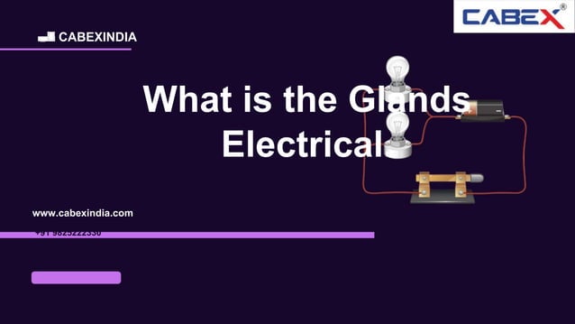 What is the Glands Electrical? | DOC | Skin and Dermatology | Diseases ...
