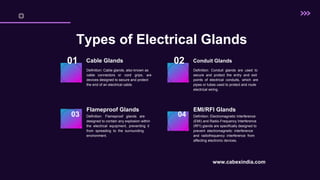 What is the Glands Electrical? | DOC