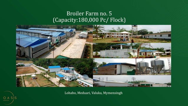 Processed Chicken Business Plan | PDF | Agriculture | Industries