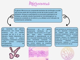 mapa conceptual de microbiologia y parasitologia .pdf
