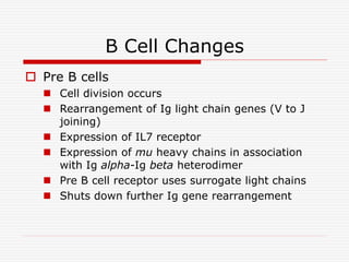 white blood cell.ppt general classification of lymphocytes | PPT