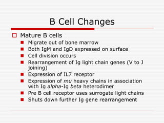 white blood cell.ppt general classification of lymphocytes | PPT