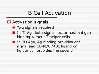white blood cell.ppt general classification of lymphocytes | PPT