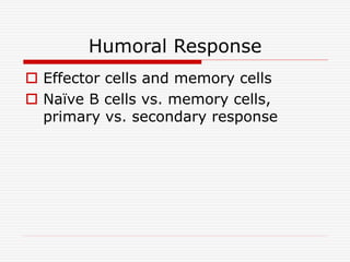white blood cell.ppt general classification of lymphocytes | PPT