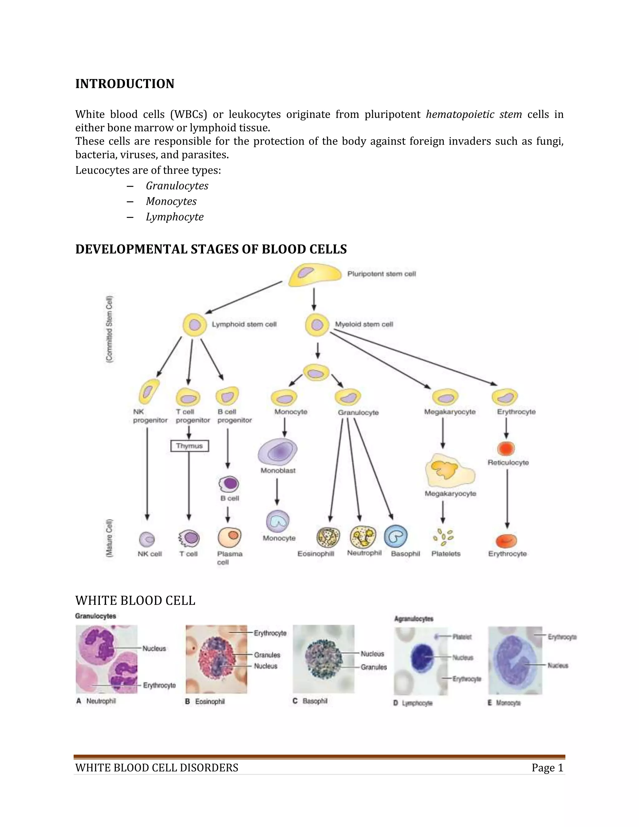 White Blood Cell Disorders (ramkumaradhikari) | PDF
