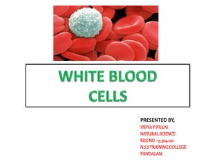 POWERPOINT PRESENTATION ON WHITE BLOOD CELLS | PPTX