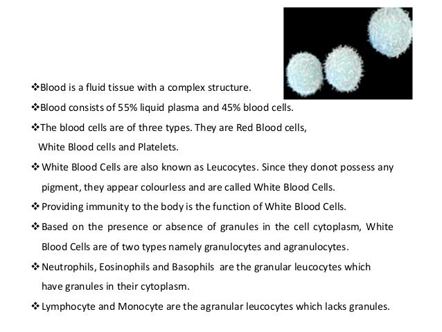 Powerpoint Presentation On White Blood Cells White Blood