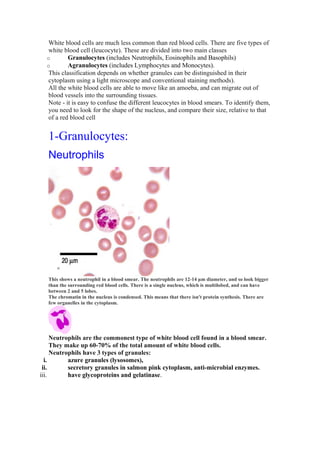 White blood cells | DOC