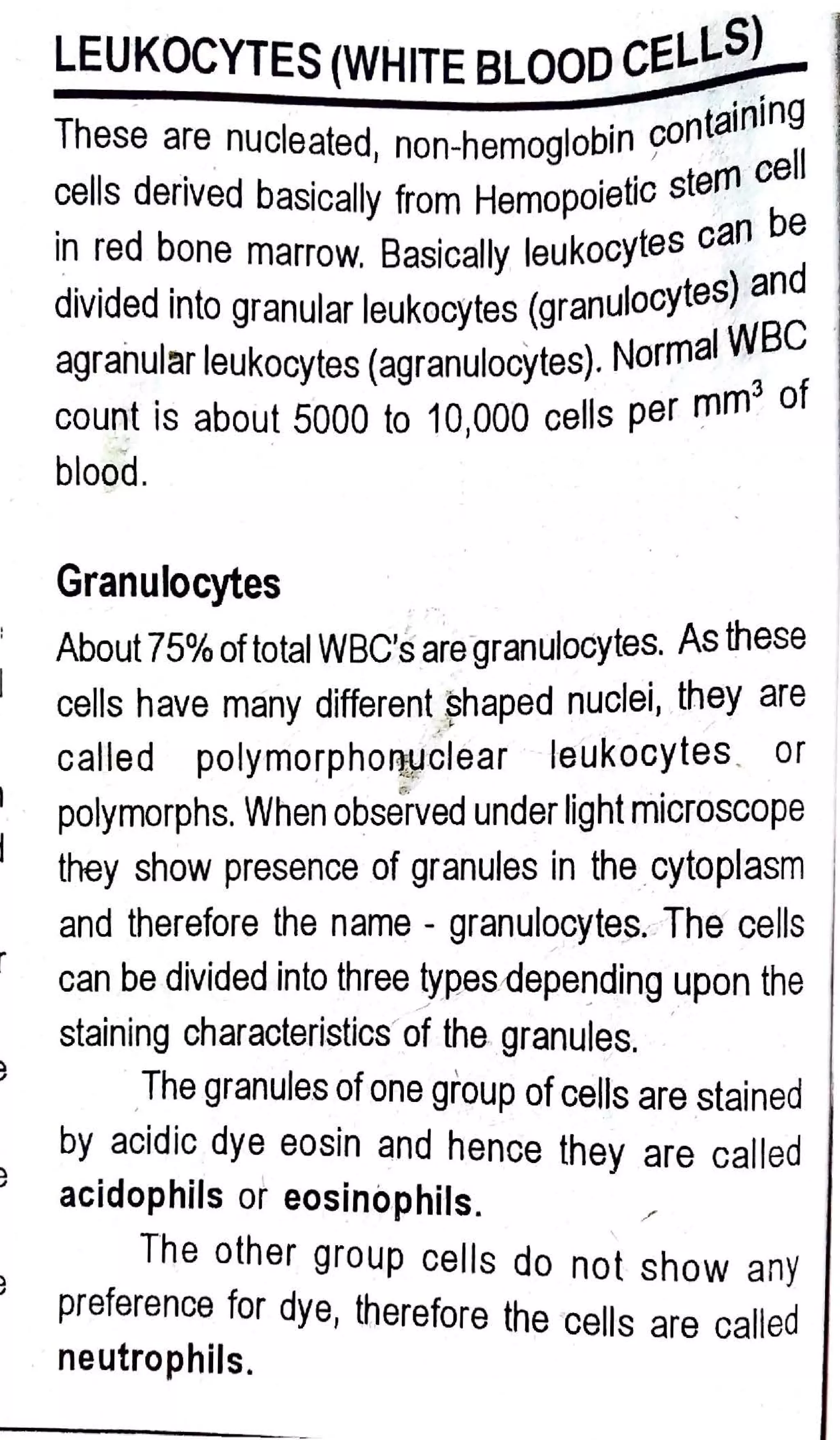 White blood cells. | PDF