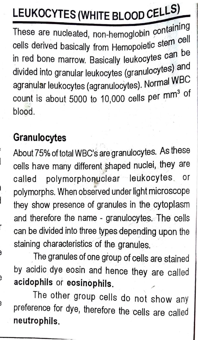White blood cells. | PPT