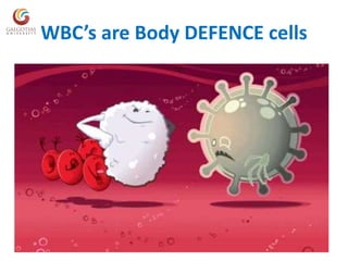 White blood cells | PPTX