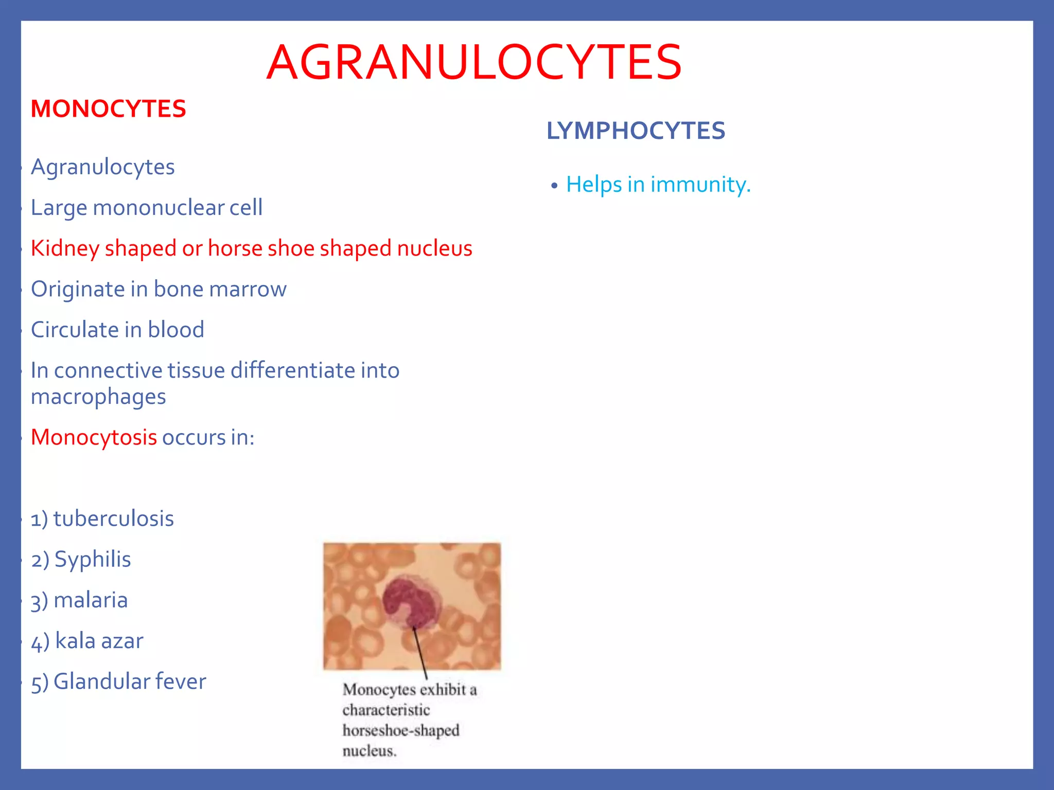 White blood cells & Immunity (The Guyton and Hall Physiology) | PPTX