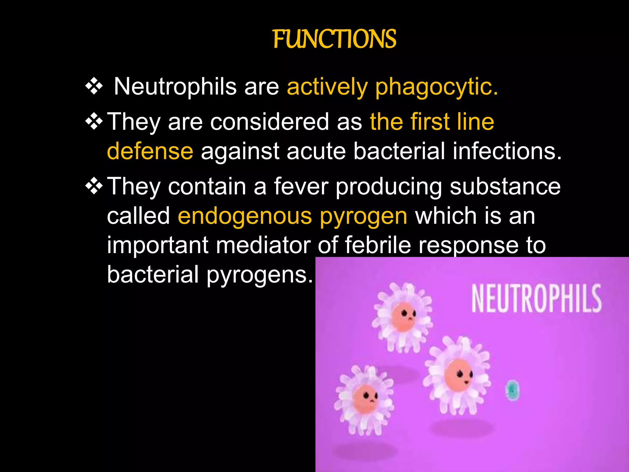 White blood cells - morphology, functions and variations | PPTX