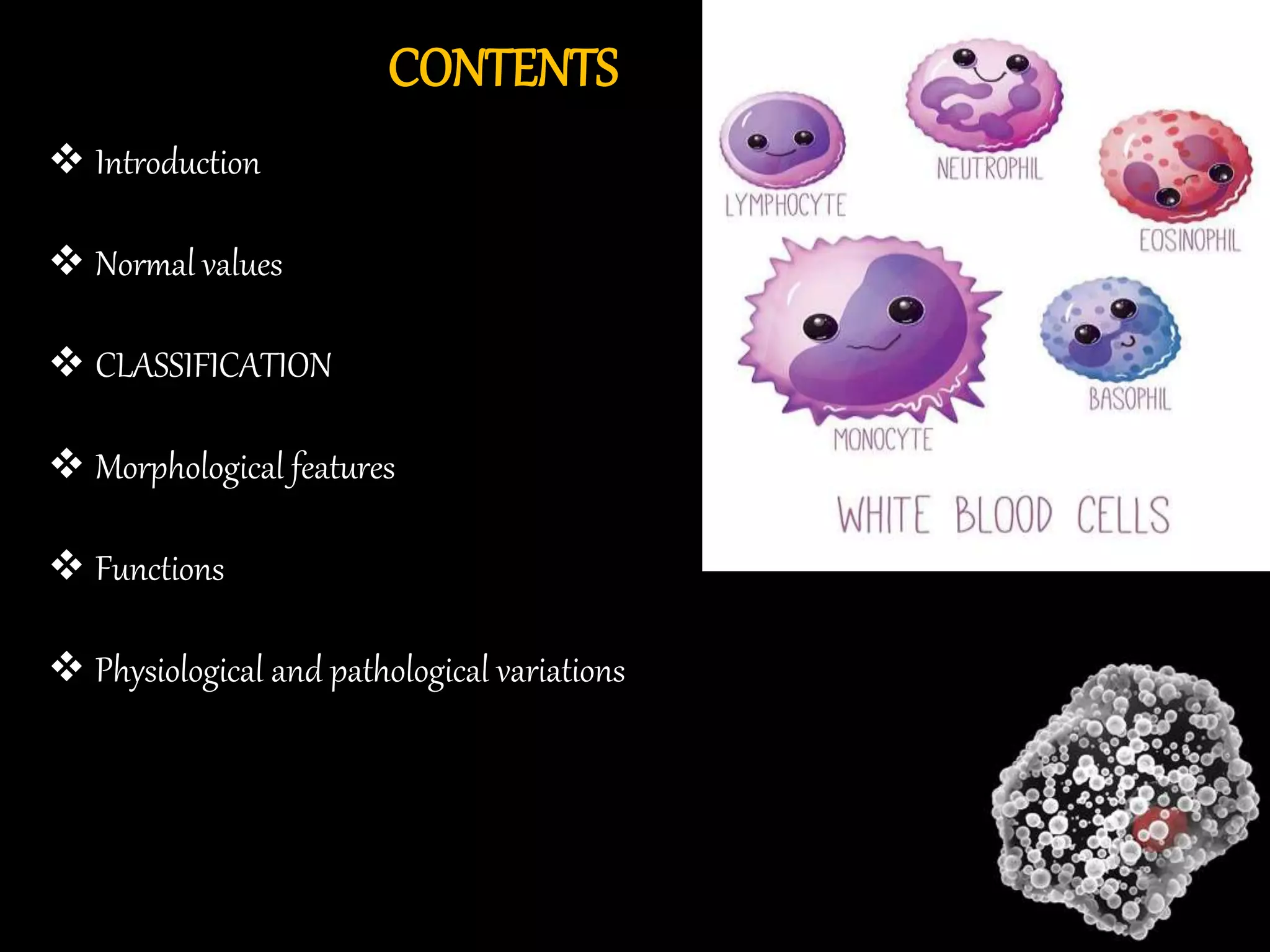 White blood cells - morphology, functions and variations | PPTX