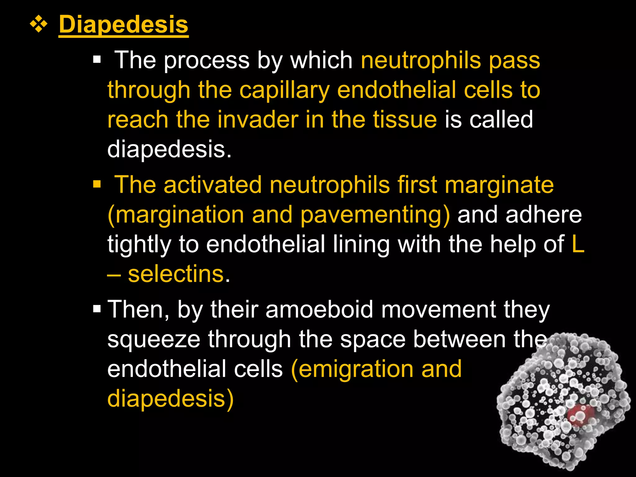 White blood cells - morphology, functions and variations | PPTX