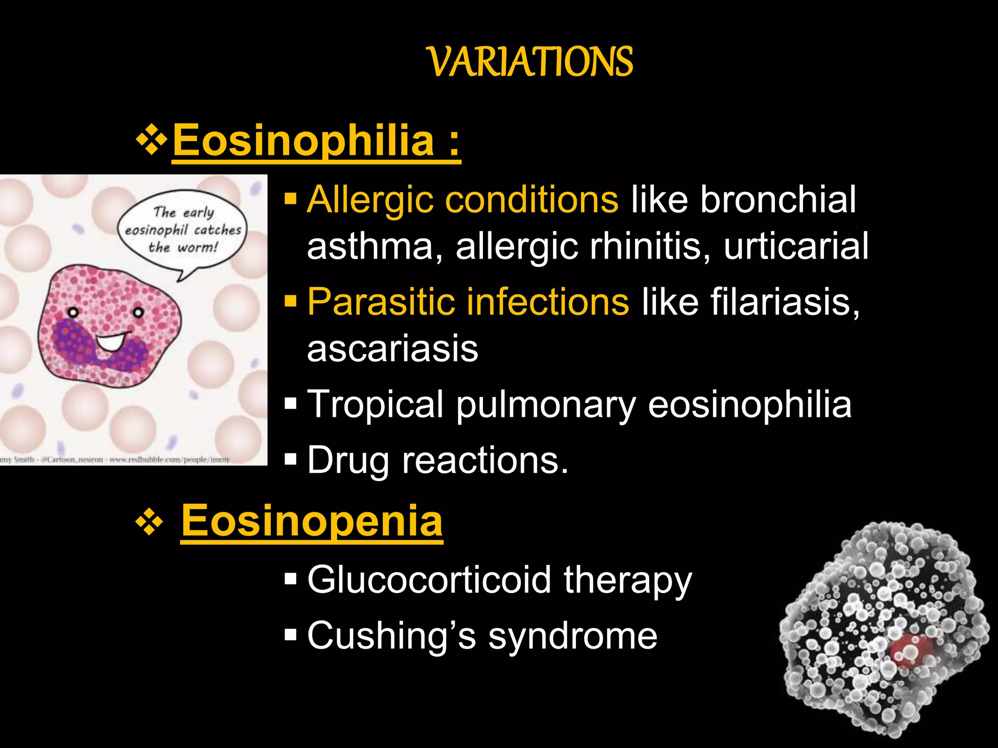 White blood cells - morphology, functions and variations | PPTX