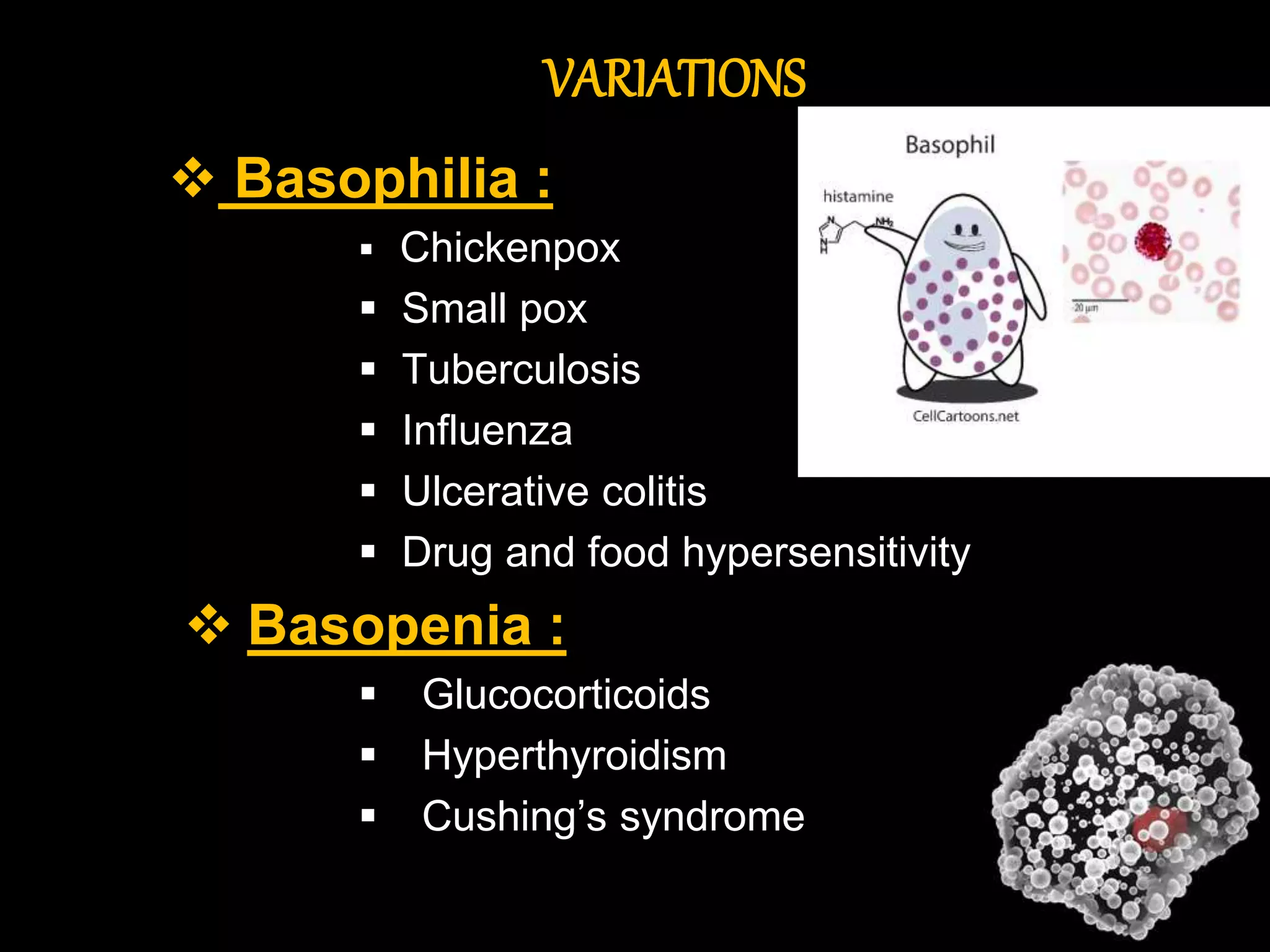 White blood cells - morphology, functions and variations | PPTX