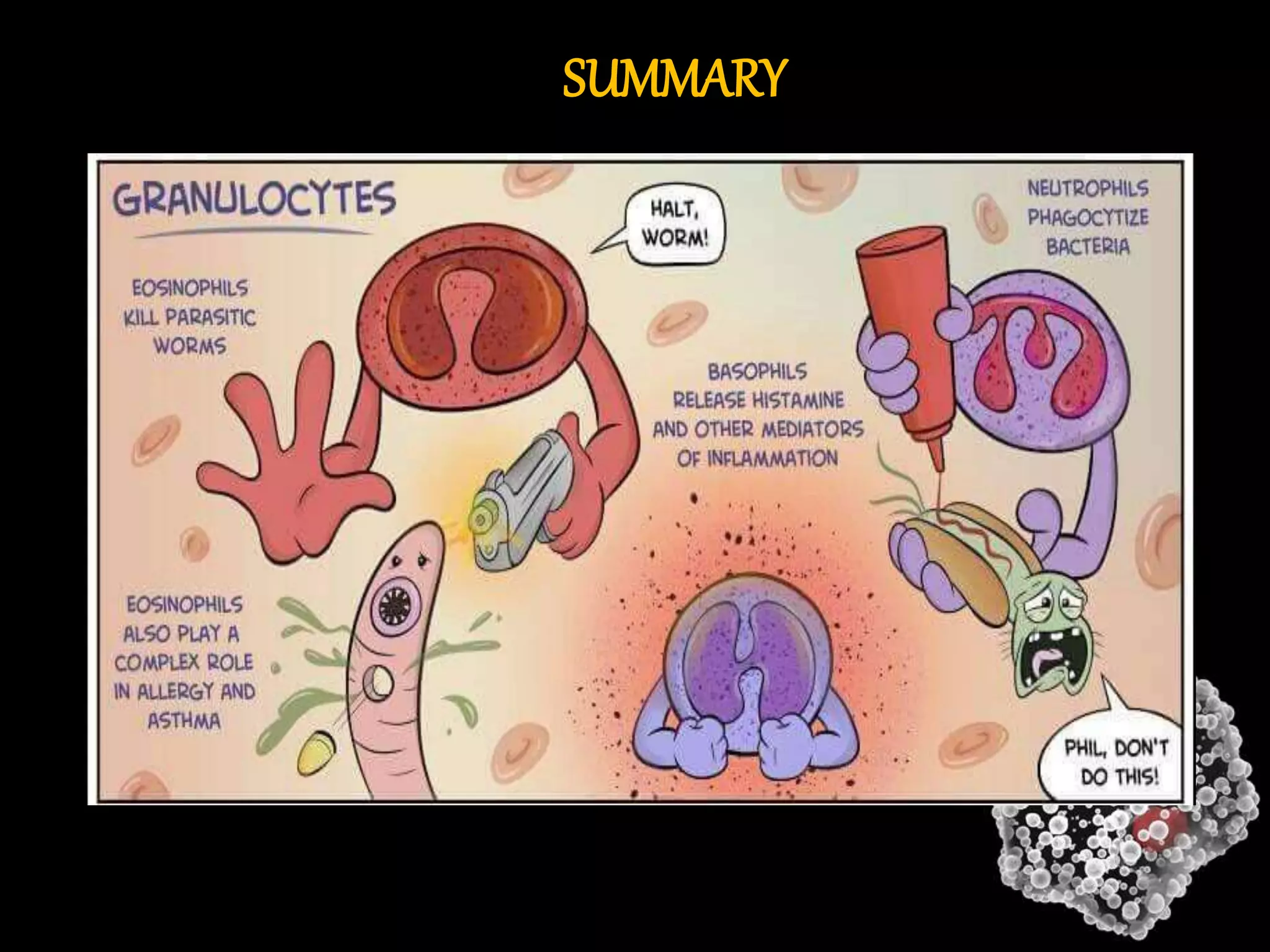 White blood cells - morphology, functions and variations | PPTX