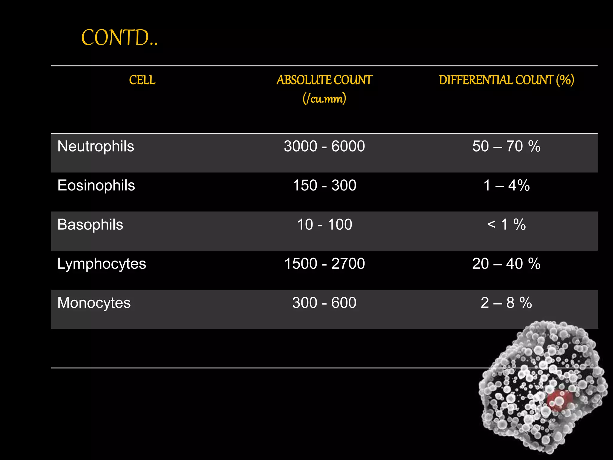 White blood cells - morphology, functions and variations | PPTX | Blood ...