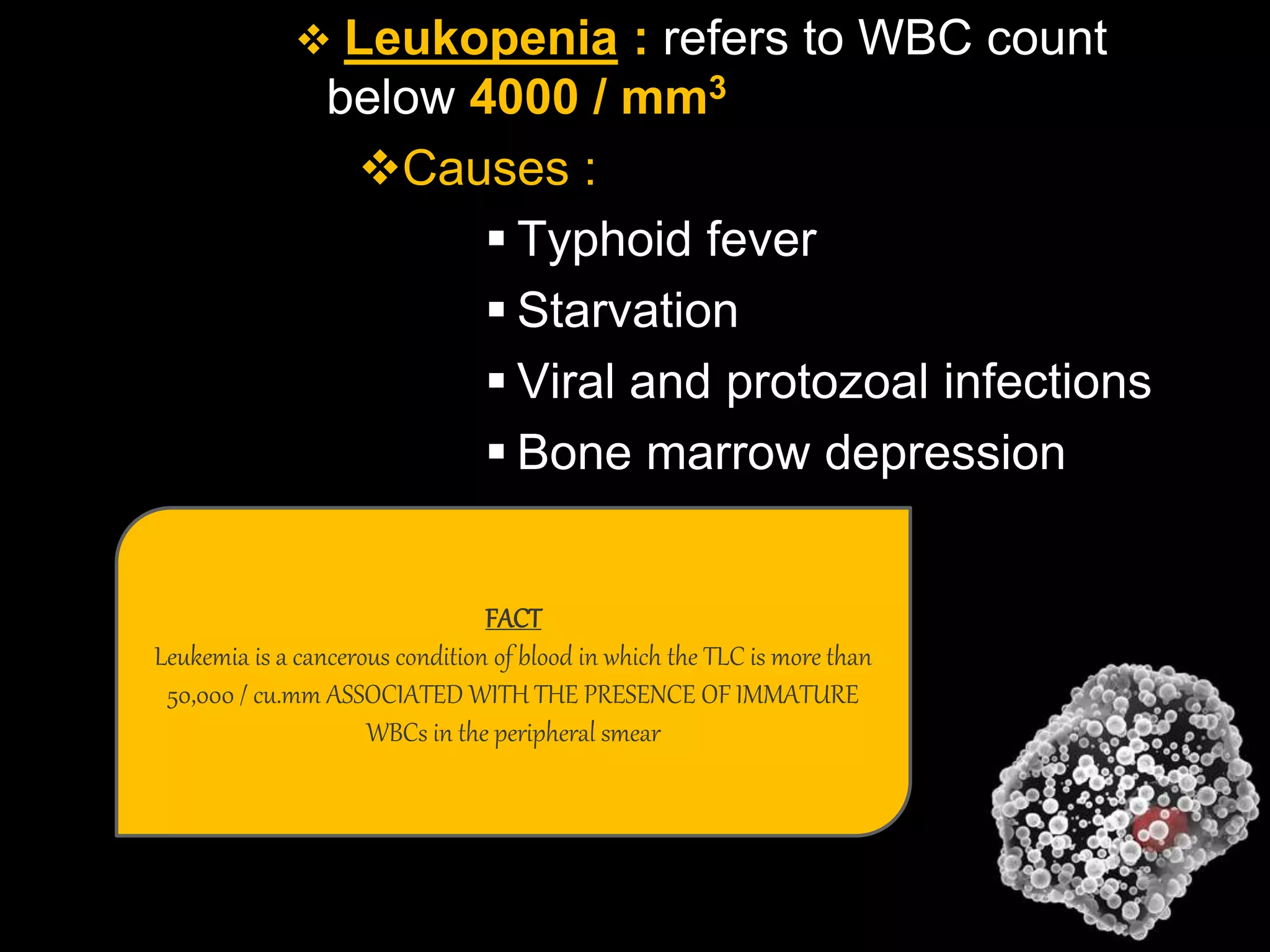 White blood cells - morphology, functions and variations | PPTX