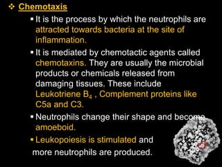 White blood cells - morphology, functions and variations | PPTX