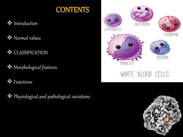 White blood cells - morphology, functions and variations | PPTX | Blood Disorders | Diseases and ...