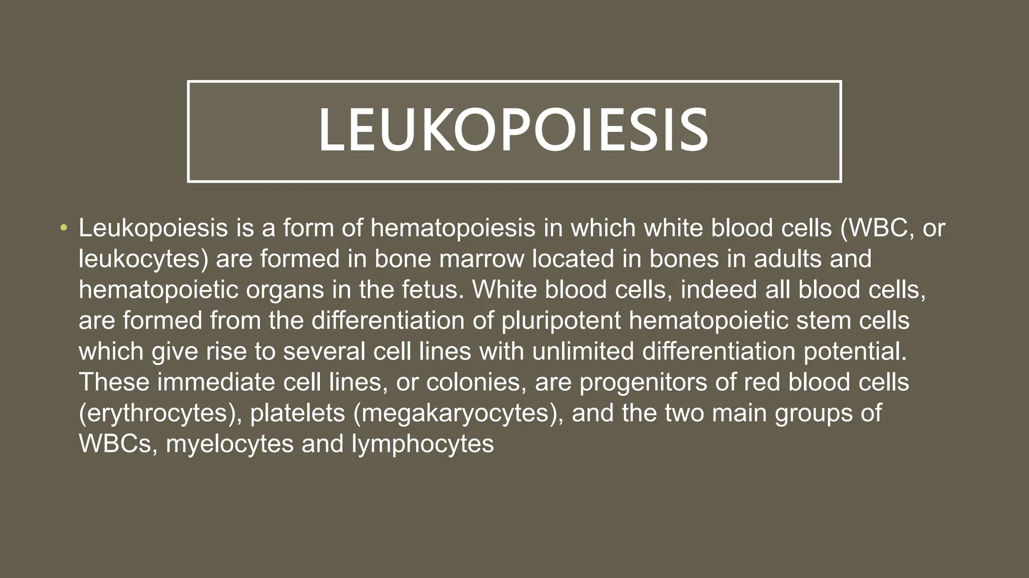 white blood cells and their role in the body | PPTX