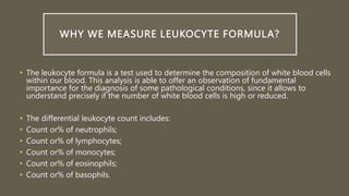 white blood cells and their role in the body | PPTX