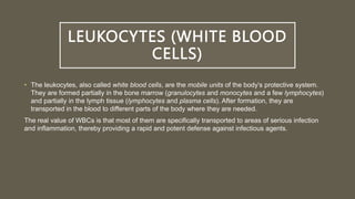 white blood cells and their role in the body | PPTX
