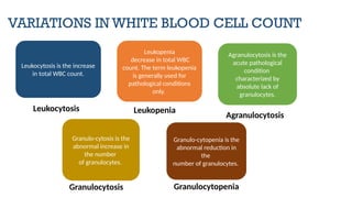 White Blood Cells- MORPHOLOGY, FUNCTIONS AND FORMATION | PPTX