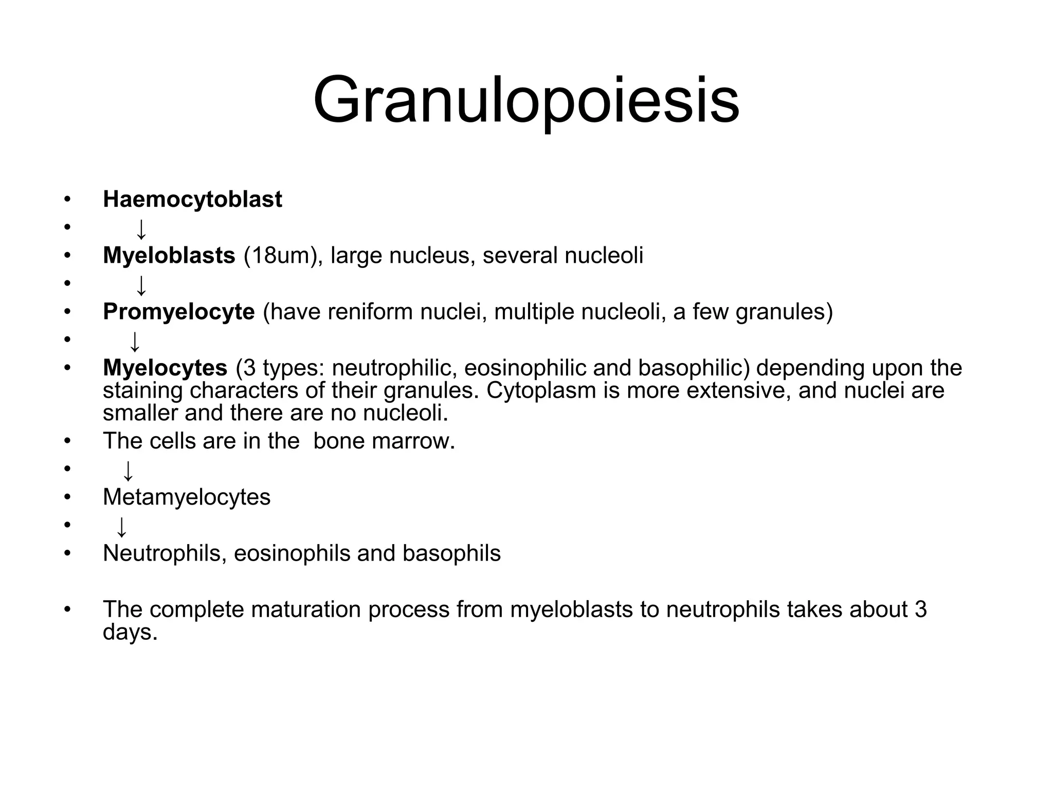 White blood cells 1.ppt
